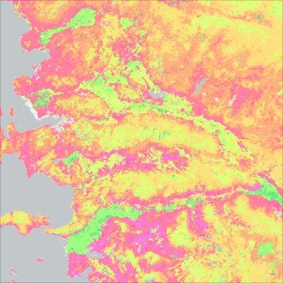 Land Surface Phenology Season Maximum Date 2023-present (raster 300 m ...