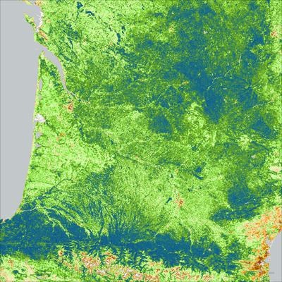 Land Surface Phenology Seasonal Productivity 2023-present (raster 300 m ...